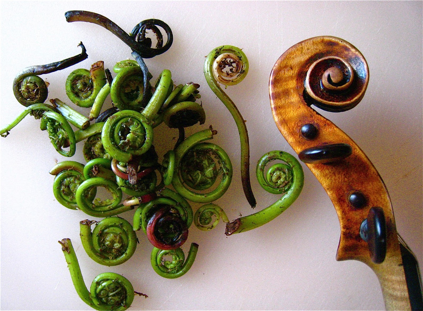 KITCHEN FIDDLER : Fiddlehead Sauté With Shallots and Bacon