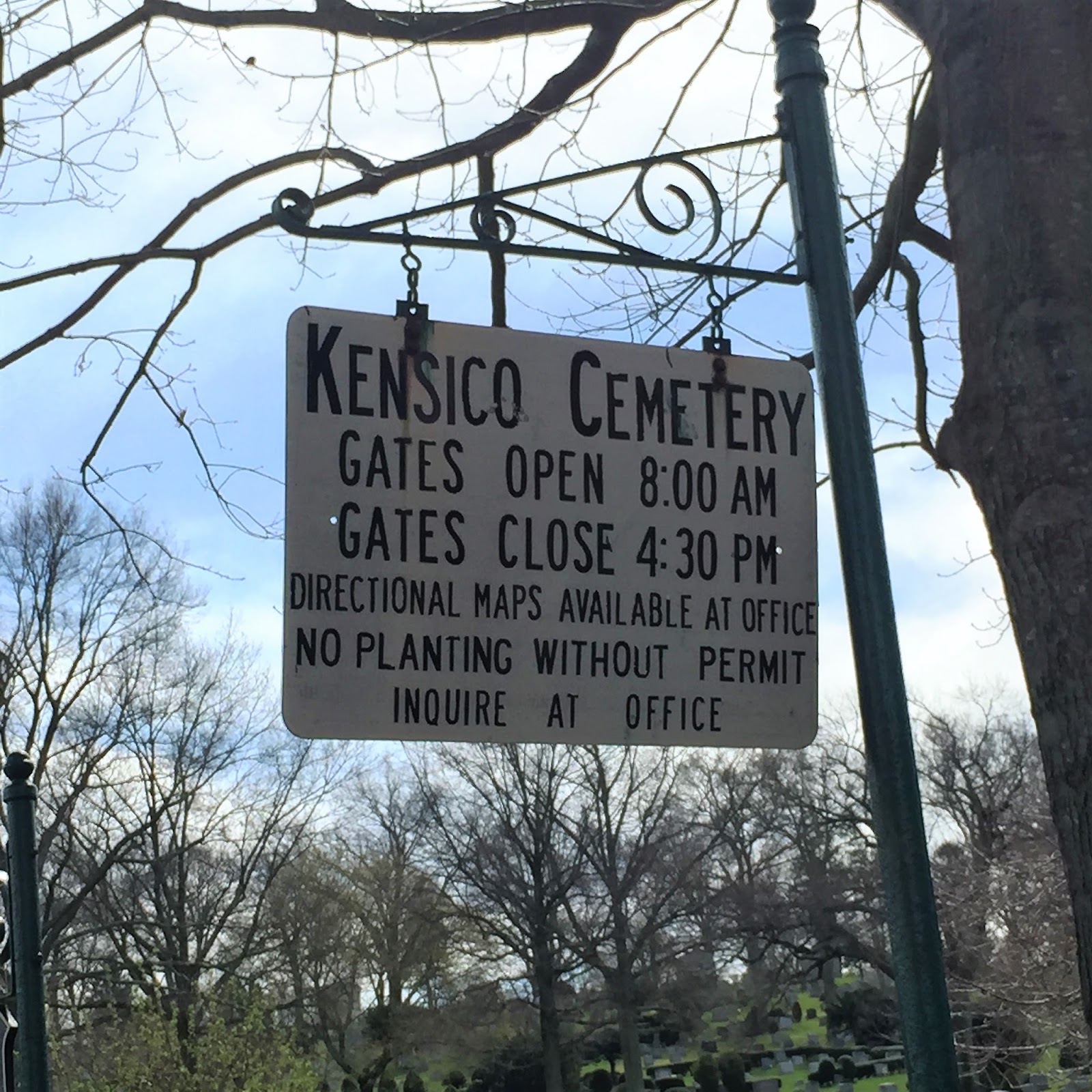 Souvenir Chronicles: VALHALLA, NEW YORK: KENSICO CEMETERY