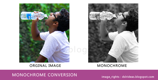 Monochrome (Black and White) Conversion In Photoshop