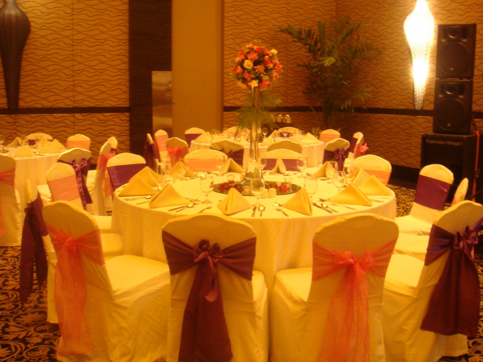 Sample Program for a Debut Party: Featuring Cyrill Flores 18th Birthday