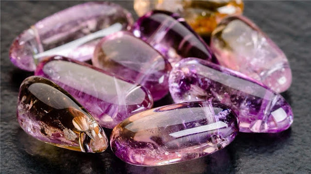 Correveidile: El secreto de las plantas, las piedras y los cristales XI ...