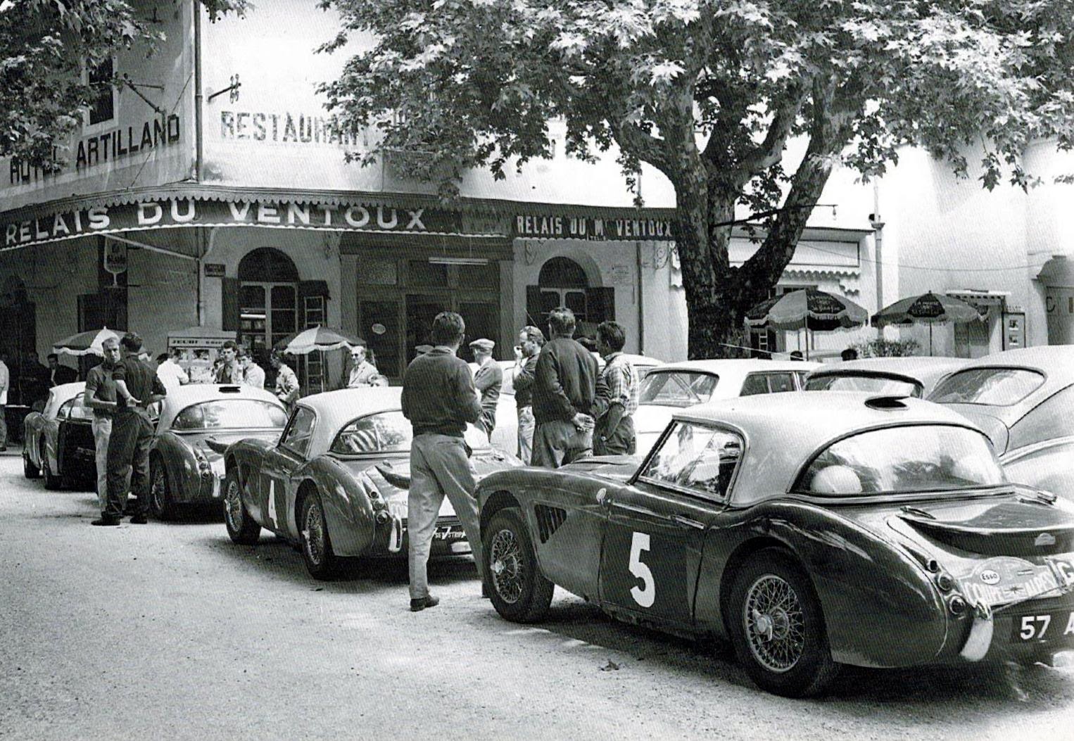 Historic Rally & Classic Race Cars: Austin-Healey 100 (S, M, MM & Six)