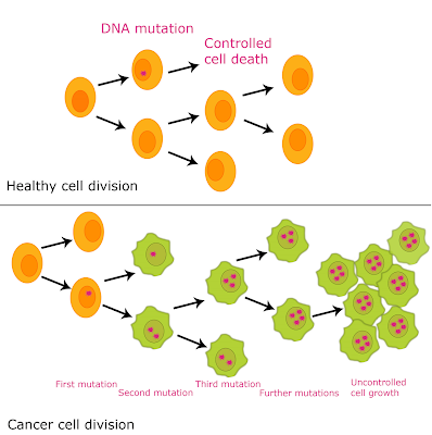 nanotechnology: Cell Division and Cancer