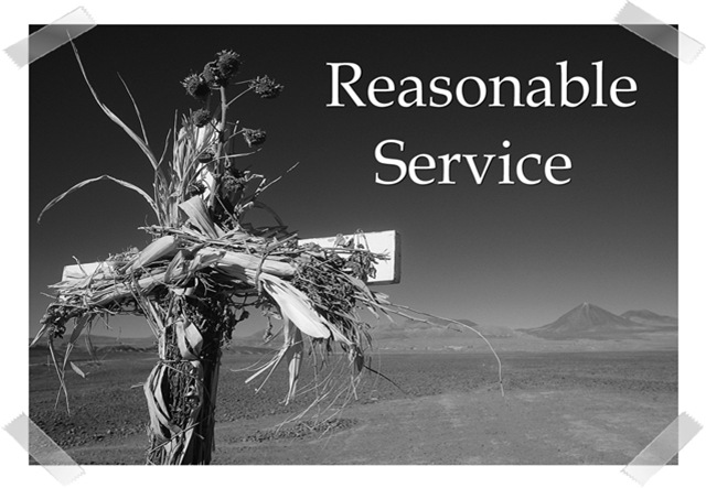 Into The King's Garden: What Does The Holy Word Say?