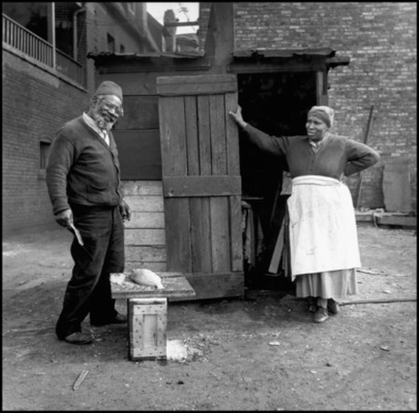 Los Grandes Fotografos: Wayne Miller (1918-2013)