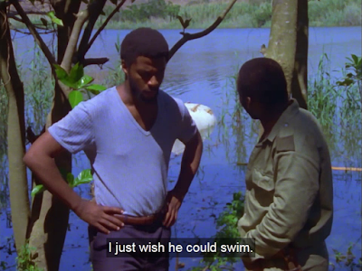 The Department of Afro American Research, Arts and Culture