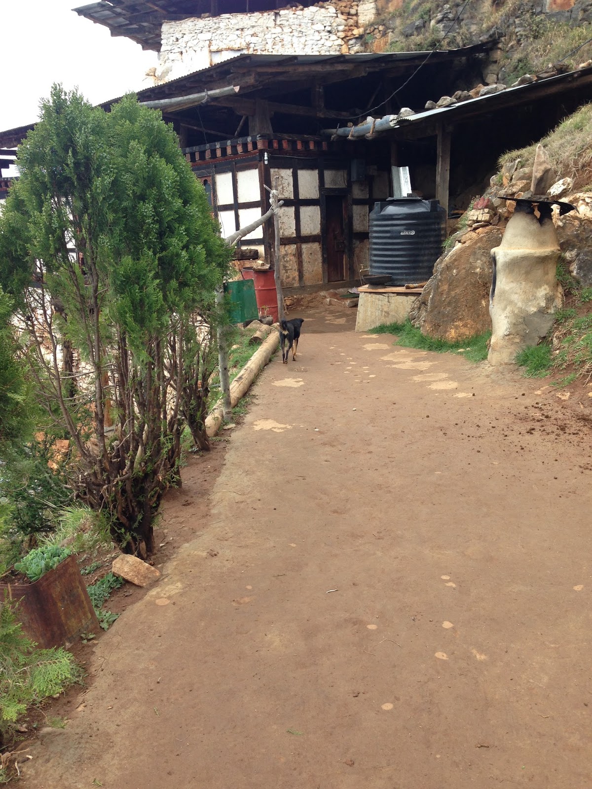 More photos of the hike to Drakarpo, Paro, Bhutan