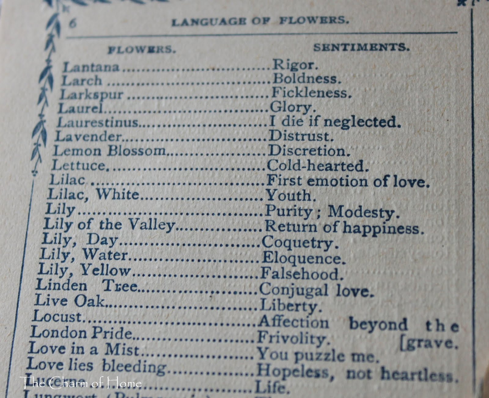 The Charm of Home: Language of Flowers