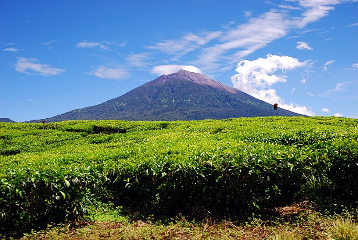 Gunung Kerinci, Jambi | ONE WITH NATURE