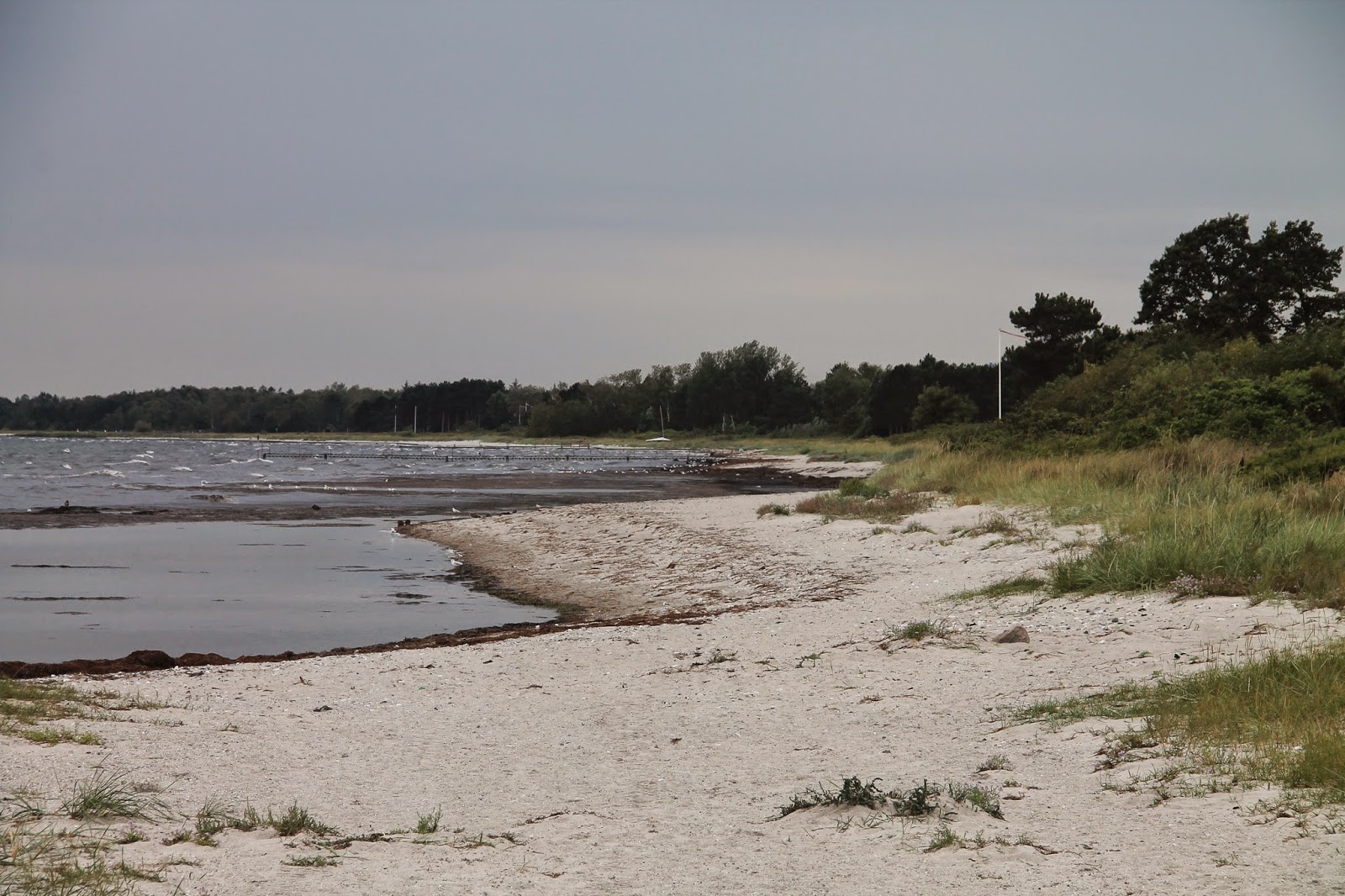 Vandringsløse Tidende: Tunestillingen: Roskilde - Mosede Fort