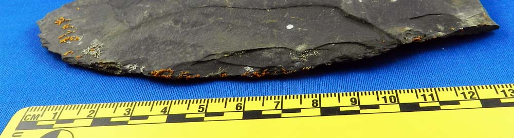 Elfshot: Chipped Slate Ulu Preform