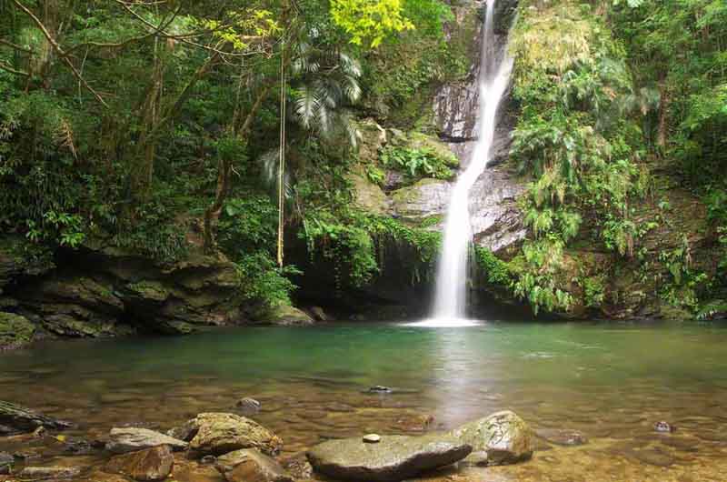 Ryukyu Life: 15 Photos of Fukugawa Waterfalls Revisited