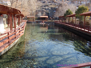 POGRADEC !!! | Albanian Tourism Guide