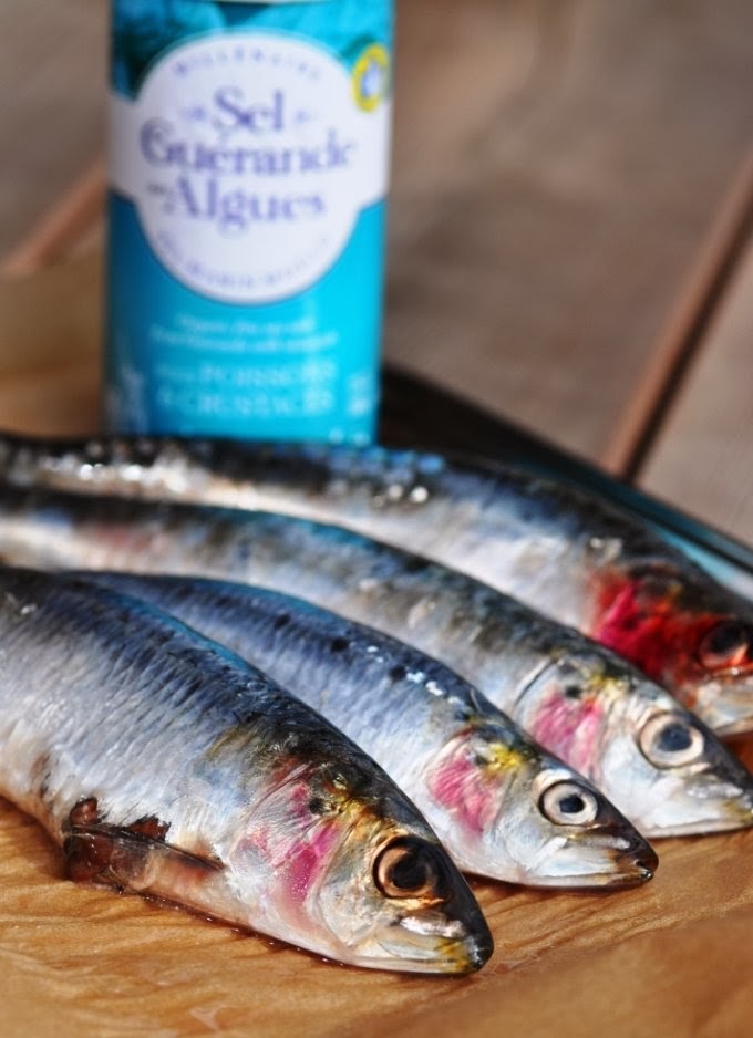 Gefüllte Sardinen - Kubiena - Kochblog