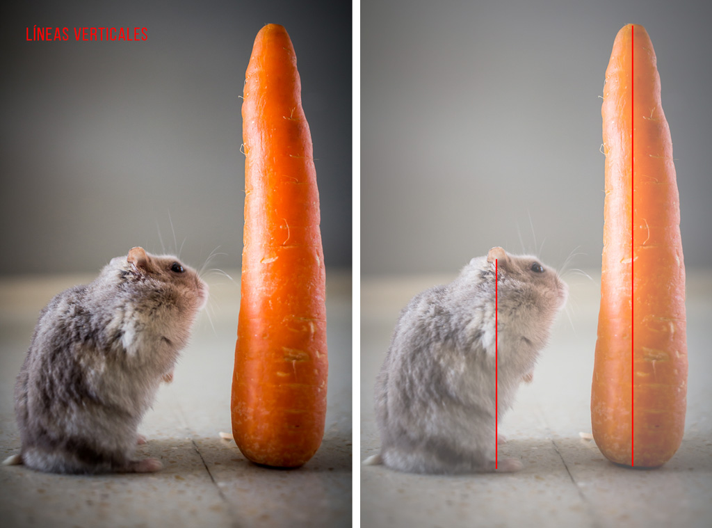 Las líneas en composición fotográfica - Fotolarios