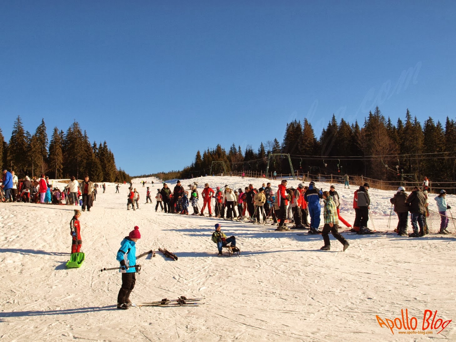 Apollo Blog: Schi @ Pasul Bucin