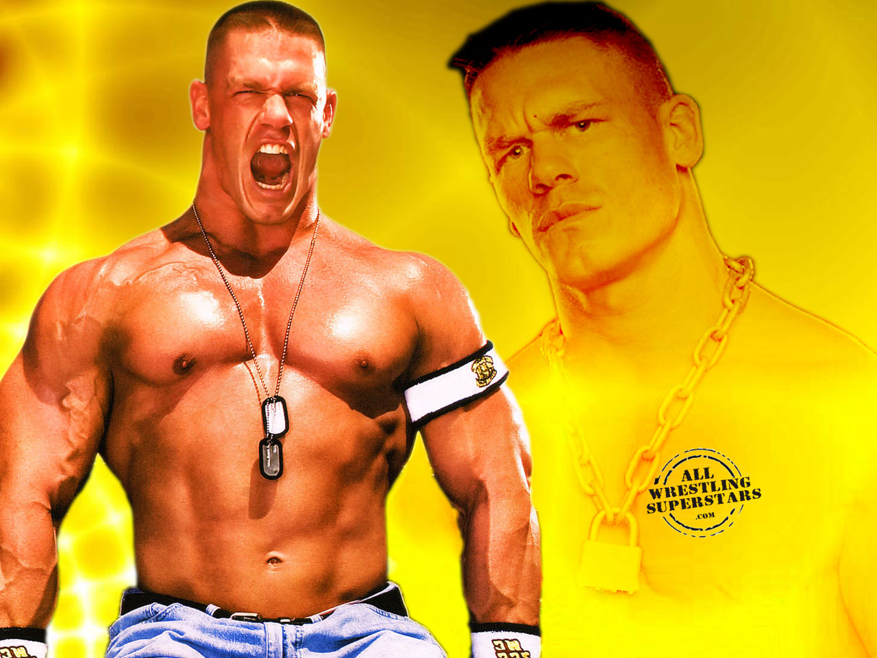 sports celebrity picture: John Cena won the WWE Championship a record ...