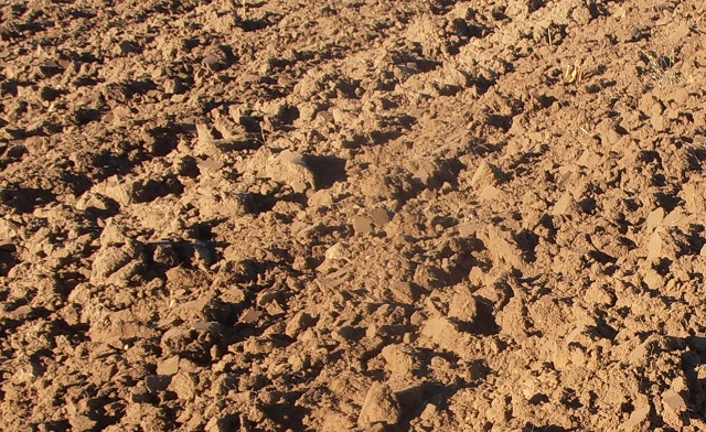 El Agricultor Eficiente: El encalado