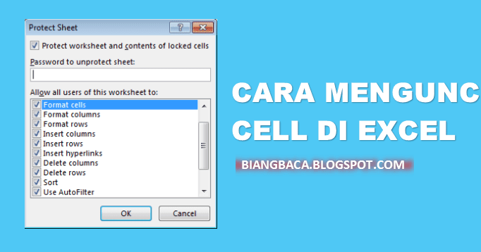 Cara Mengunci Cell Di Excel - Biang Baca
