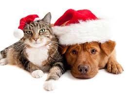 NEVER...EVER...GIVE UP HOPE : 11 Ways to Avoid the Christmas Rush and ...