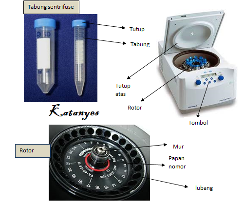 Mengenal Prinsip Kerja, Pemeliharaan, dan Aplikasi Sentrifuse - Katanyes