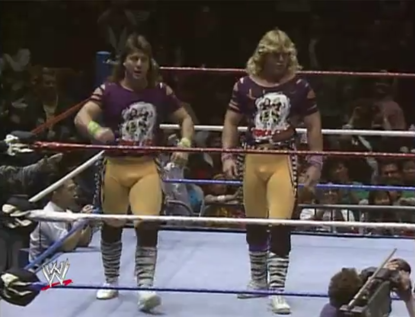 ProWresBlog: WWF Madison Square Garden 11/25/1989 - The Rockers vs The ...