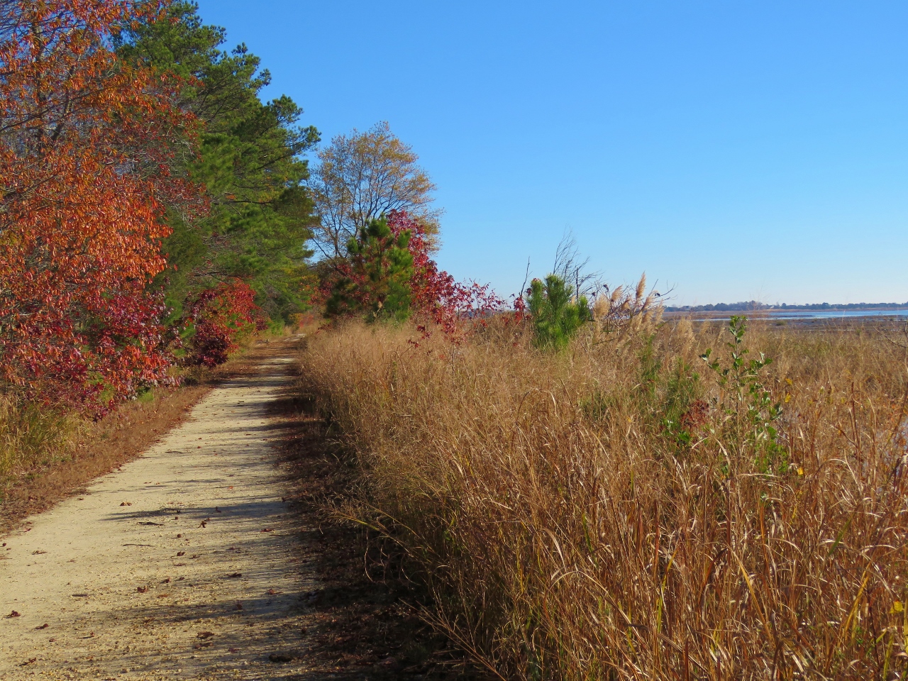 Gone Hikin': Prime Hook National Wildlife Refuge, DE