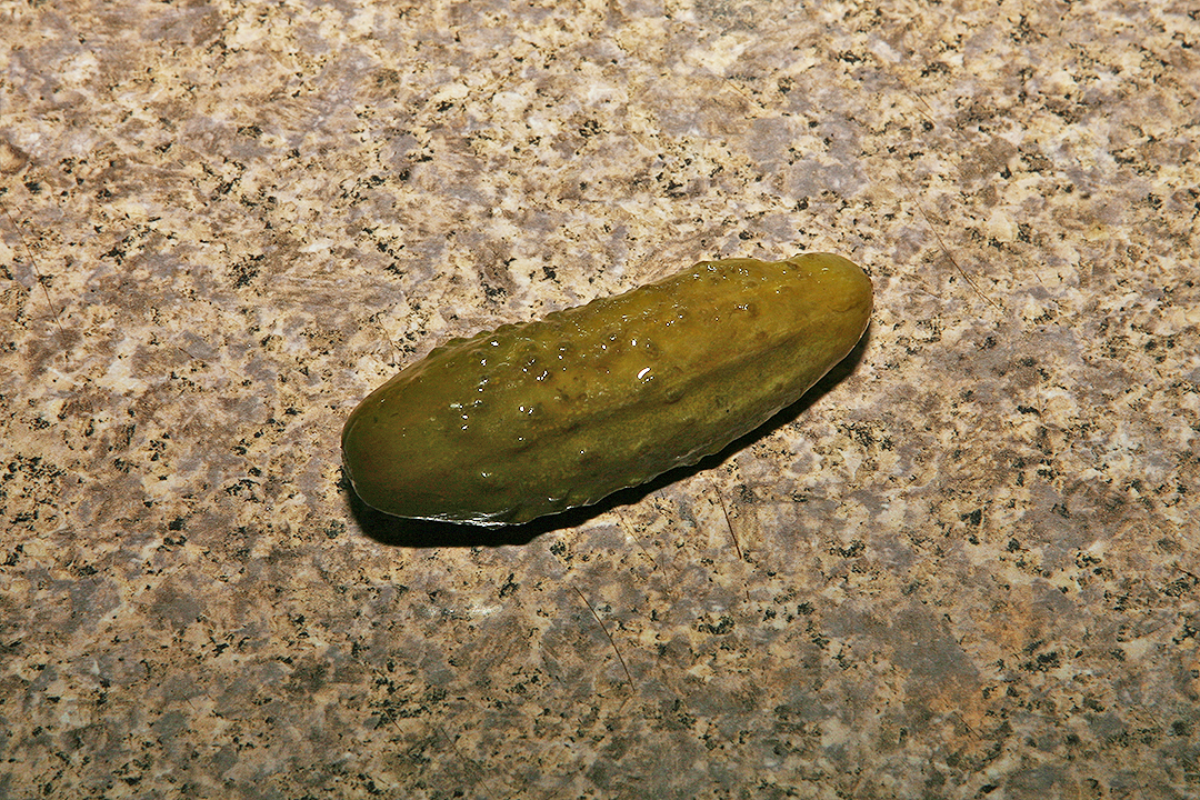 The Shit I Eat: Pushkin Pickles