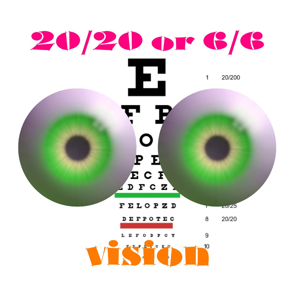 Minor optic optic 298 20 20 Or 6 6 Vision Minor optic optic Minor optic optic 298 20 20 Or 6 6 Vision Minor optic optic