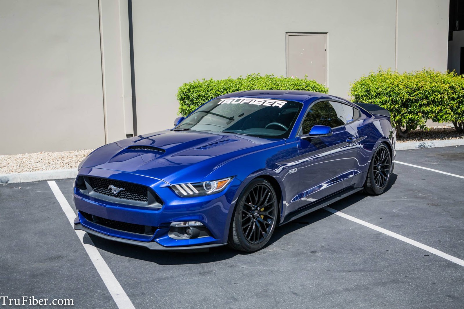 SouLSteer.com: Blue 2015 Ford Mustang muscle car tuned by Tru Fiber