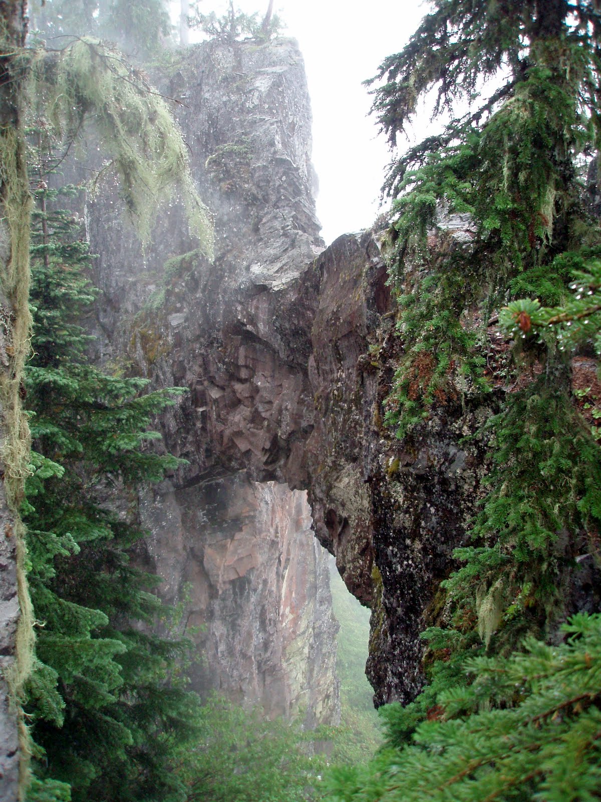 Michele Bilyeu Creates *With Heart and Hands*: The Phantom Bridging of ...