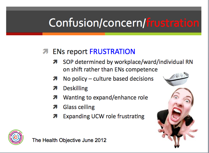CPD Nurse Escapes - the health objective : Nurses and Role Confusion