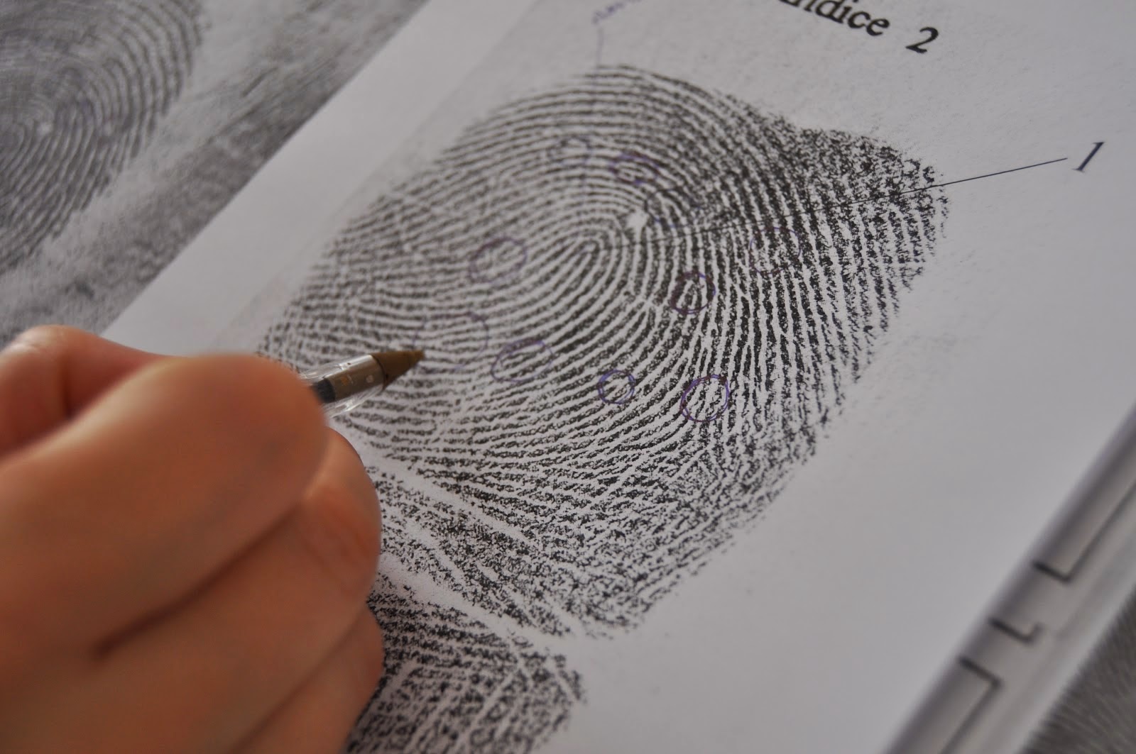 CURSO DE DACTILOSCOPIA FORENSE