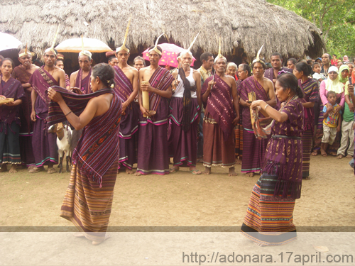 profile of Adonara: Adonara Island