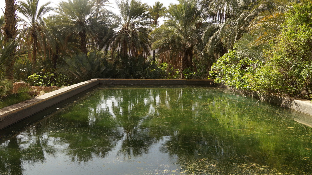 Notre tour du Maroc 2014: 02 avr - Visite au ksar Zenaga - Figuig