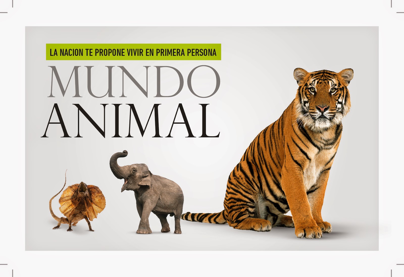 LA NACION PRESENTA: MUNDO ANIMAL – Marcela Fittipaldi Magazine