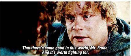 Different Angle: A Tribute to Samwise Gamgee