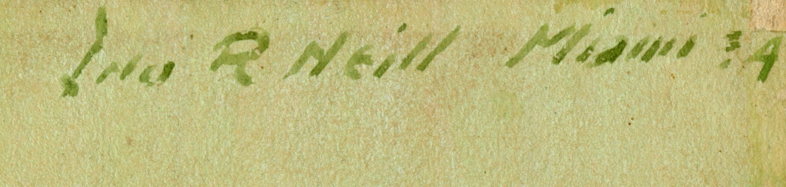 The John R. Neill Collection: 2019