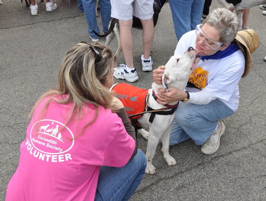 Escondido Humane Society Blog: Paws in the Park countdown: 24 days!