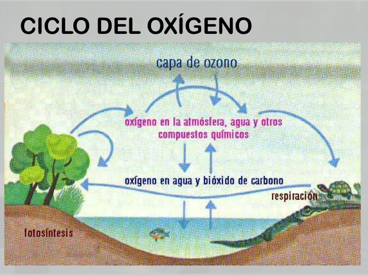 Ecologia y medio ambiente : Ciclos Atmosfericos