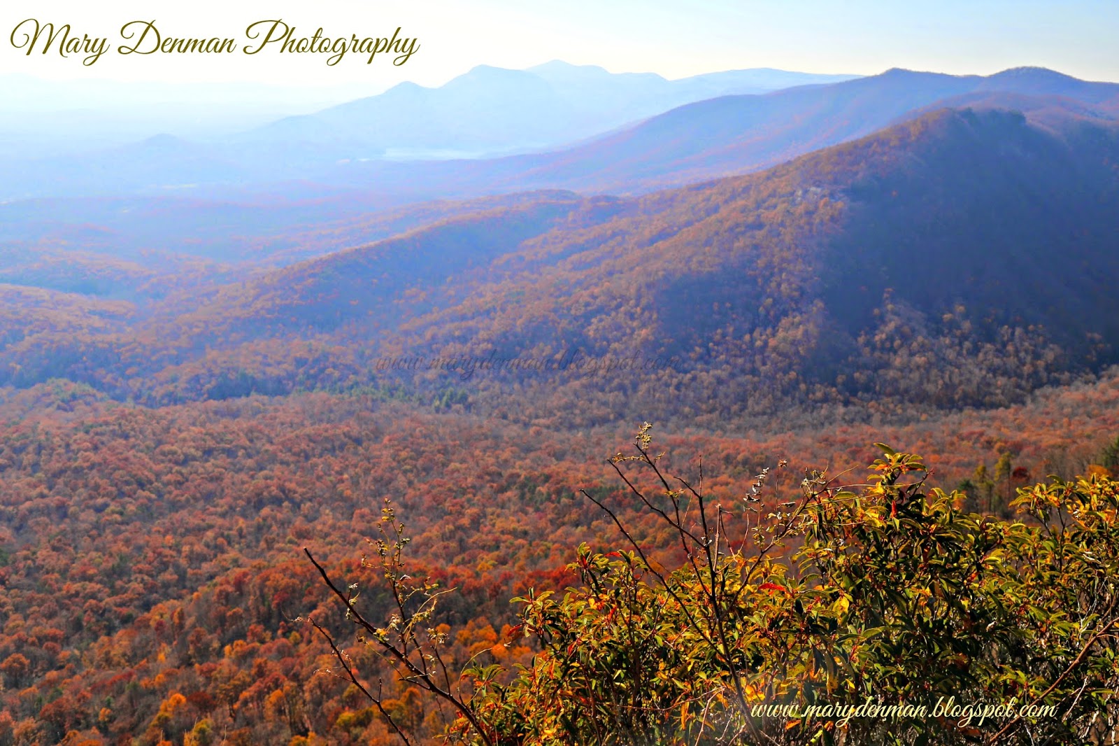 Mary Denman: Photo Tip Friday: How do you use Portrait Versus Landscape ...