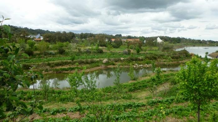 Axel Ewald - recent projects, discoveries & reflections