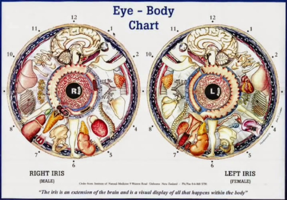 EAtlantide: La réflexologie plantaire et l'iridologie