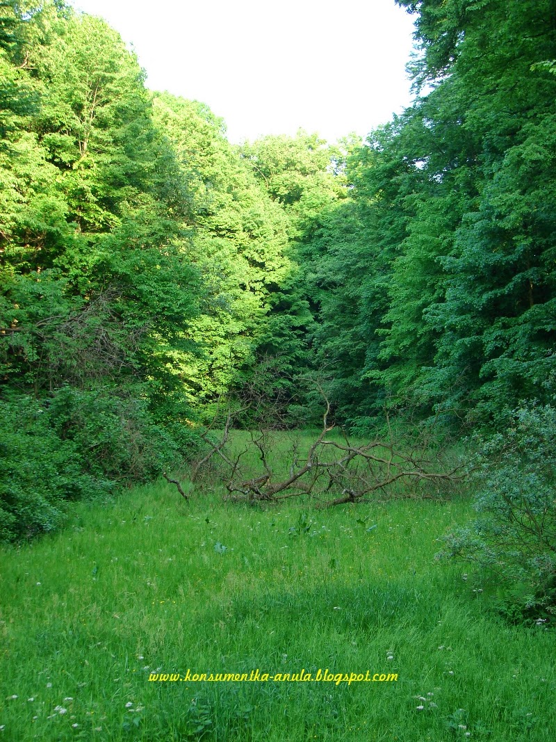 Anula bloguje... testy, opinie, medycyna, kulinaria i inne kreatywności ...