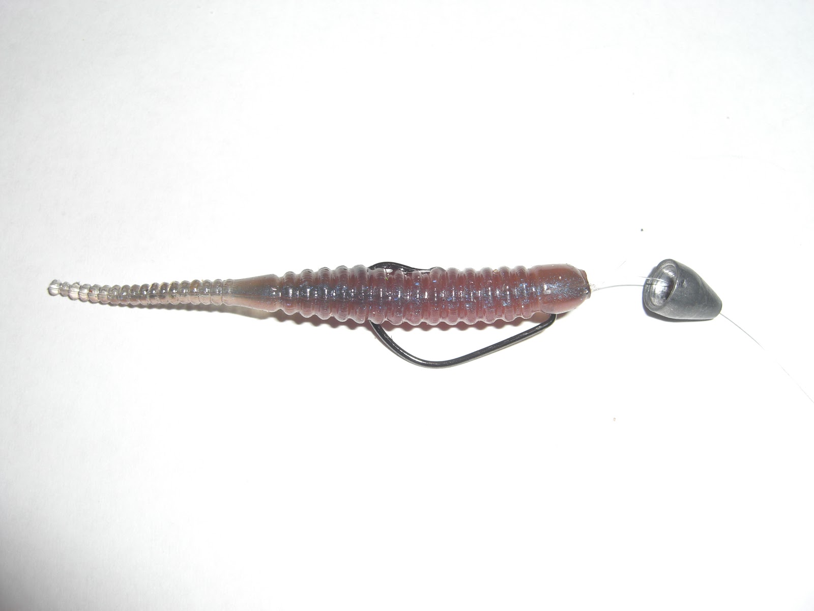 Lure and Light Game: Light Game Wrasse