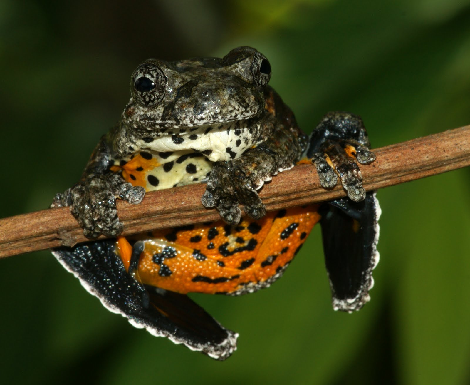 Explora la Venezuela Natural con Río Verde: JOYAS SECRETAS DE LOS ...