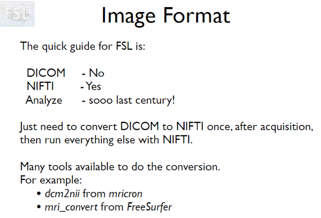 mental health of child and adolescent: MRI neuroimaging에서의 기본 사항 - file ...