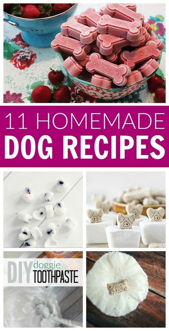 DIY Homemade Dog Recipes - Ideas For Cooking