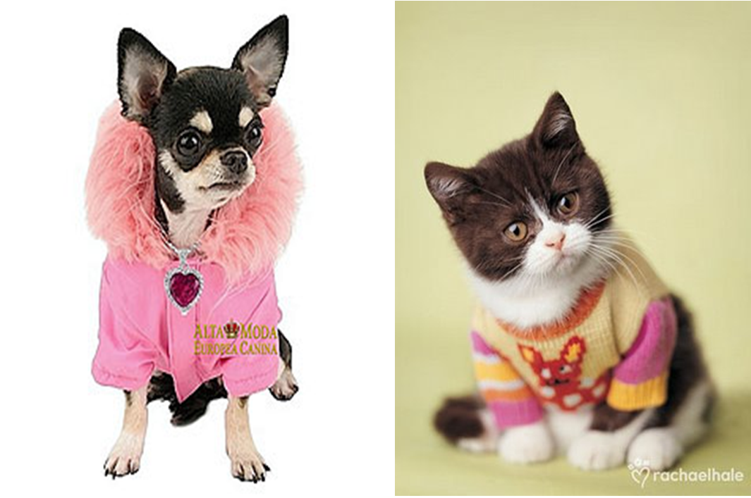 PARA TUDO !: Animais de Roupa