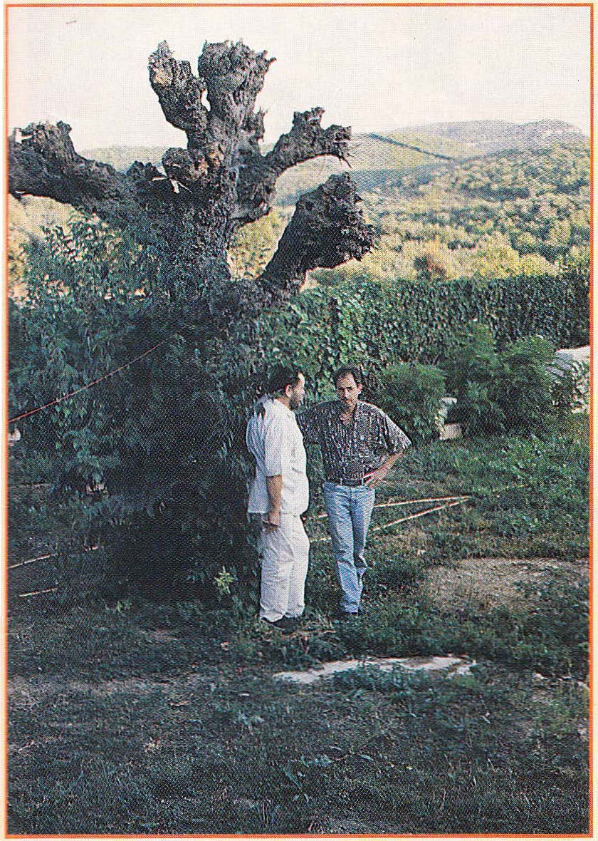 André Malby, el Hombre que Salvó mi Vida - André Malby y Andreas Faber ...